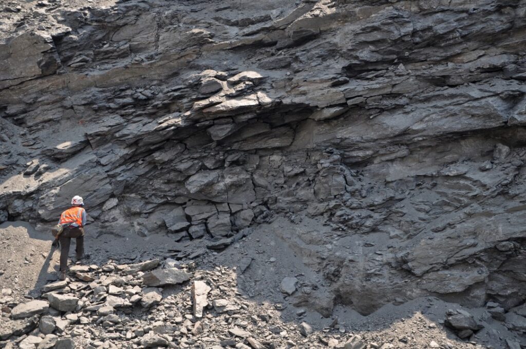 How Geological Consultants Drive Success in the Mining Industry - Best ...